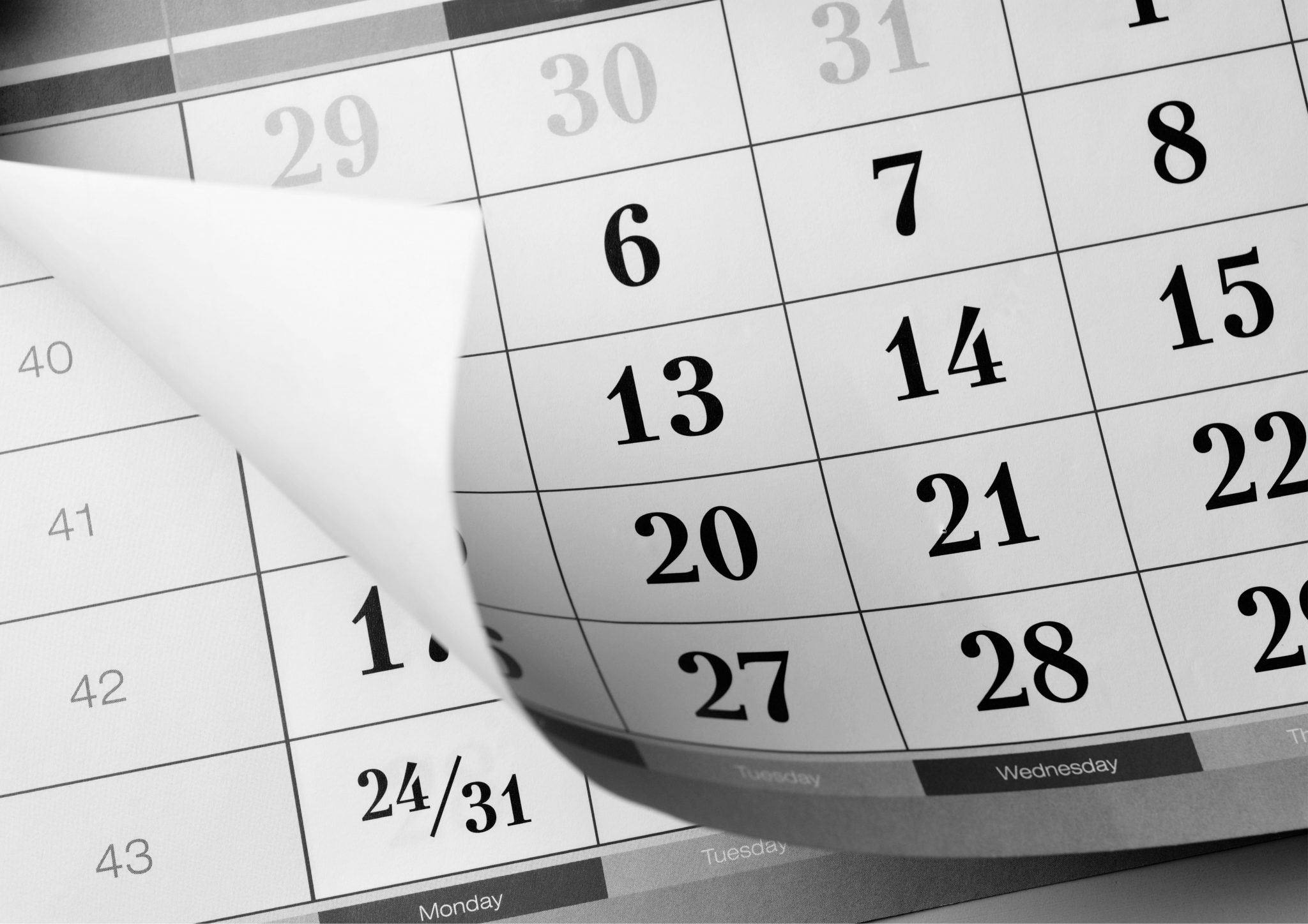 Czym jest i jak powinien wyglądać HARMONOGRAM realizacji projektu ...